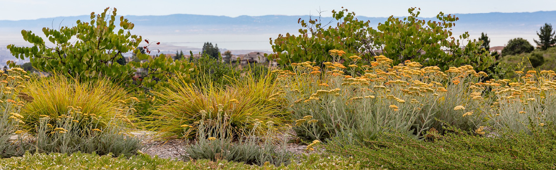 Landscape Design Awards Program